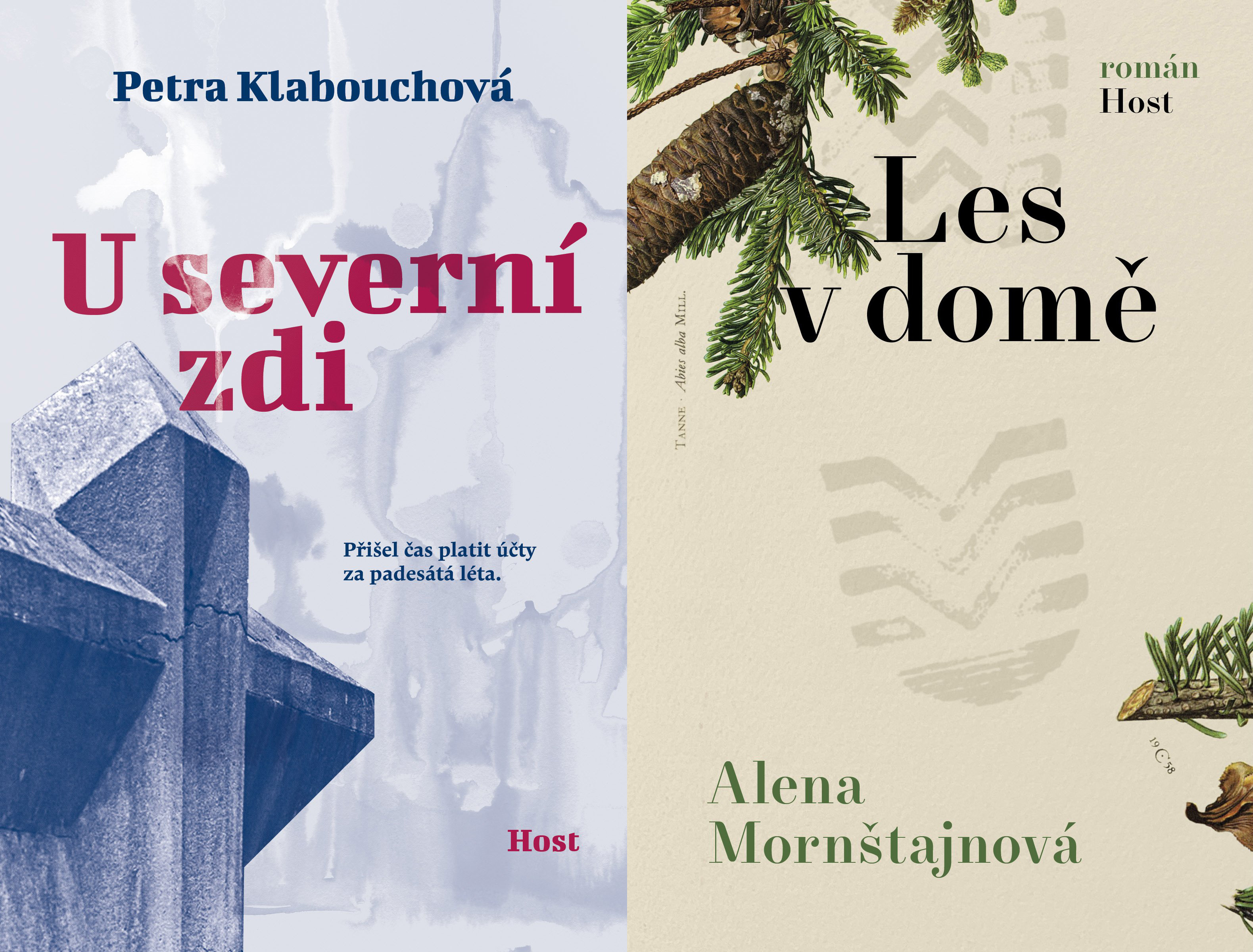 Šťastné konce nečekejte. Mornštajnová a Klabouchová přinášejí obrazy ...